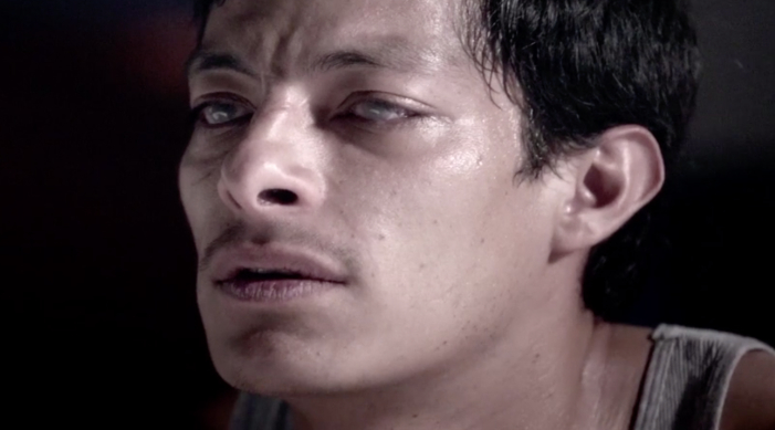 Award of Merit – “Paco” (Mexico)